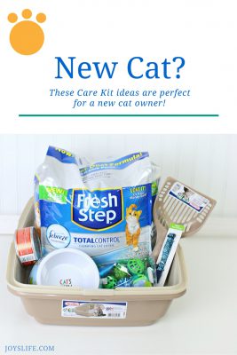 Make a DIY Cat Scratcher & New Cat Care Kit - Joy's Life
